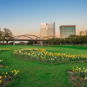 Colin L. Murchison - Fort Worth Wealth Planning Attorney - Jackson Walker